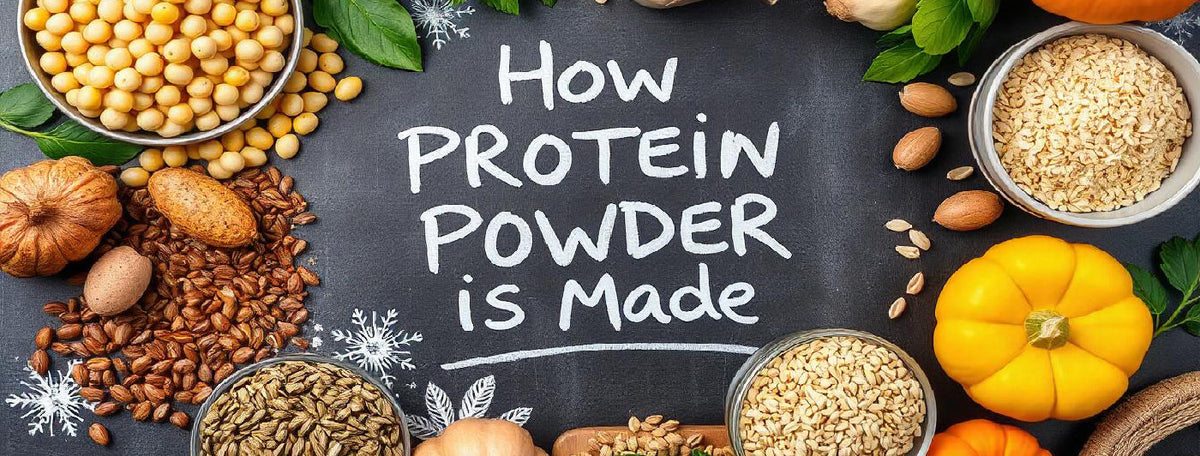 How Protein Powder Is Made: Scientific Process Explained