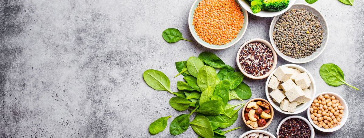 The Benefits of Incorporating Plant Protein into Your Diet